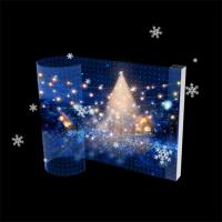 China RGB Color Temperature LED Transparent Screen 4mm Pixel Pitch 3000 cd/m2 Brightness for Advertising Display for sale