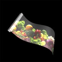 China P10 Flexible Transparent Full-color LED Display 240x960mm Adhesive Screen for Glass Installation for sale