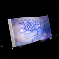China High Brightness Flexible Color LED Point Light Source LED Transparent Screen for sale