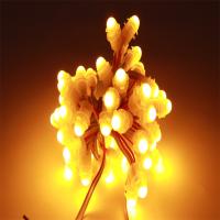 China Single Color LED Pixel Light DC12V 9mm 0.2W IP67 for Advertising Signage Board for sale