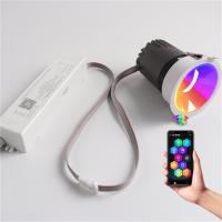 China LED Christmas Spotlights 20W RGBW 24V High Brightness Holiday Home Atmosphere Light for sale