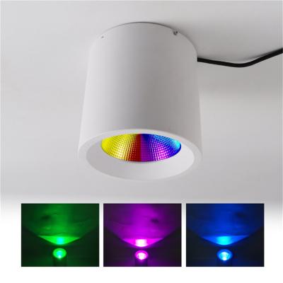 China 20W RGBW Smart Downlight 12V IP20 for Indoor Christmas Atmosphere for sale