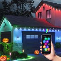 China 24V RGBW Programmable LED Eaves Lights 1W Outdoor Christmas Decoration IP67 for sale
