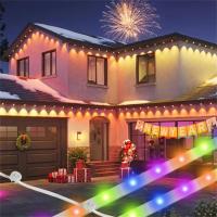 China Christmas Colorful LED Eaves Light Decorations Waterproof IP67 Plastic Body 12V RGBW 1W for sale