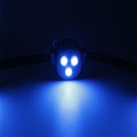China DMX512 RGB Outdoor Point Light 30mm IP67 Permanent Christmas Decoration with APP Control for sale