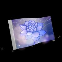 China P8 Indoor Transparent LED Film Screen 8mm Pixel Pitch Ultra Thin Flexible Video Wall 600W for sale