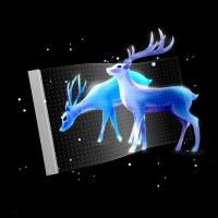 China P8 Indoor Transparent LED Film Screen 8mm Pixel Pitch Ultra Thin Flexible Video Wall 600W for sale