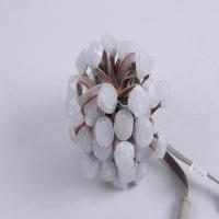 China 0.3W RGB LED Pixel Module 50mm Point Light Source DC12V IP67 for Christmas Decoration for sale