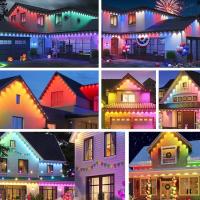 China DC12V Addressable RGBW LED Pixel Eave Light 1W IP67 Outdoor Christmas Decoration for sale