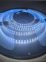 China 10m Single Color LED Strip Light 24V 60 LEDs SMD2835 IP20 Flexible Tape for Home Decor for sale