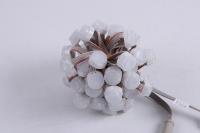 China 20mm RGB Pixel Point Light SMD5050 DC12V 0.75W IP67 for Building Decoration for sale