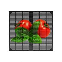 China High Transparency LED Transparent Screen Full Color Advertising Glass 3.91mm Pixel Pitch 800W for sale