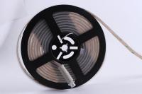 China DC24V SMD 2835 RGBW LED Neon Strip Light 10M Outdoor Waterproof Flexible Linear Lighting for sale