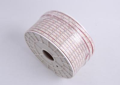 China DC24V LED Strip Light SMD5050 RGBW 5M 300 LEDs Flexible Decorative White Warm White for sale