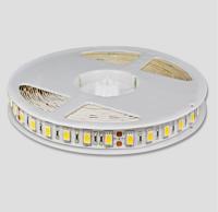 China DC24V SMD5050 LED Strip Light 10M Roll IP65 Dotless High Brightness COB Linear Light for sale