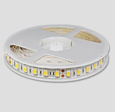 China DC24V SMD5050 LED Strip Light 10M Roll IP65 Dotless High Brightness COB Linear Light for sale