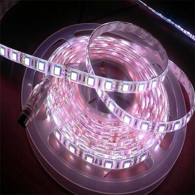 China High-Density SMD5050 RGBW DC24V LED Strip Light 60LEDs/m Dimmable Ribbon Light for sale