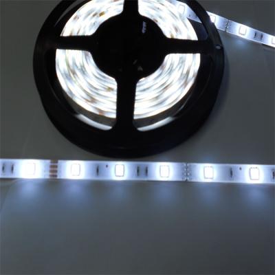China Custom 5050 RGBW LED Strip Light 24V 12V IP65 Waterproof Outdoor Smart 5M 10M 15M for sale