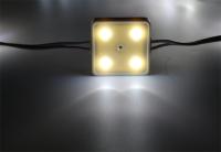 China SMD2835 42LM 0.75W DC12V IP67 Waterproof LED Module for Outdoor Advertising for sale