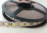 China Warm White SMD5050 COB LED Strip Light 300 LEDs 5M 12V Waterproof Flexible for sale