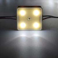 China 3W RGB LED Module 12V IP65 Waterproof Outdoor Advertising Light 63mm 80lm for Sign for sale