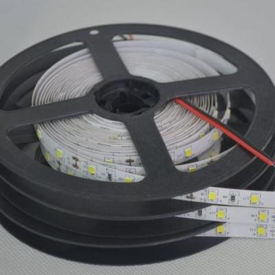 China 5050 LED Strip Light 12V 5M Roll IP65 Flexible Bare Board for Signage and Linear Lighting for sale