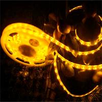 China SMD5050 RGB 12V Flexible LED Strip Light 60 LEDs per Meter Waterproof Indoor Decor for sale