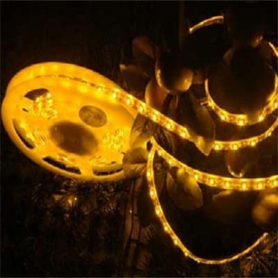 China 5M 2835 SMD LED Strip 240 LEDs 24V 12W/M Indoor Decoration 4000K Colorful for sale