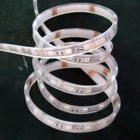 China Wholesale 2835 RGBW LED Strip Light IP65 Waterproof DC12V 5M Roll for Advertising Signage for sale