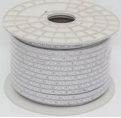 China Flexible LED Neon Strip 12V 24V IP65 Waterproof RGBW 10M Roll for Indoor Outdoor Decorative Sign for sale