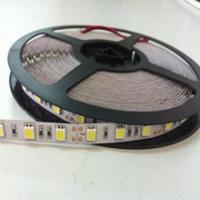 China IP67 Waterproof LED Strip 5050 DC12V 60LEDs/m Flexible RGBW Light 5M Roll for sale