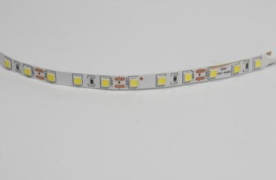 China SMD5054 LED Strip Light 5M Roll 12V 24V 3000K 4000K 6000K 8MM Width for sale
