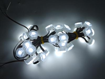 China 22.83mm 12V IP67 Waterproof LED Point Light 120 Degree Beam Angle PC Material RGBW for sale