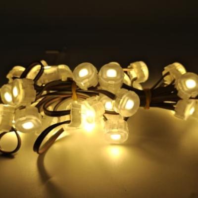 China IP67 Waterproof 20mm DC5V SMD5050 LED Point Light Flexible PC DMX512 0.3W for sale