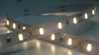 China Miracle Bean Single Color White SMD 5730 LED Strip Light 60 LEDs per Meter DC 12V for sale