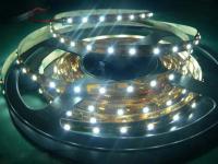 China SMD3528 60 LED/m Single Color Strip Light 12V/24V 4.8W with IP65/IP68 for Indoor Outdoor Decoration for sale