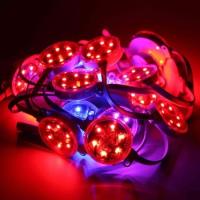 China DC24V IP67 Waterproof RGB LED Point Light 50×24.2mm for Outdoor Building Lighting Projects for sale