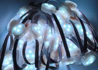 China Programmable Pixel LED Point Light IP67 12V RGB PC Shell Glue 0.8W DMX512 for sale