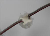 China SMD5050 Single Color Pixel LED Light 0.3W DC12V IP67 Waterproof 30000H CE ROHS for sale