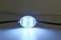 China 1.5W 24V 60mm IP65 RGBW LED Pixel Point Light 120 Degree Angle for sale