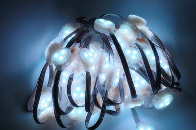 China Miracle Bean 30mm LED Pixel Point Light 0.8W 12V IP65 RGB Programmable for sale