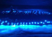 China Blue DC5V 5050 SMD DMX LED Pixel Light IP67 Waterproof 0.15W for Channel Letters for sale