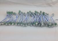 China Blue Green Color LED Chain Pixel Lights 12mm DC5V 0.15W 50pcs Chain IP65 CE ROHS 3 Years Warranty for sale