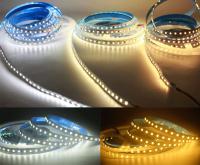 China IP68 8mm Width 120 LEDs/m 14.4W/m 2835 LED Strip Light DC 12V 5M for sale