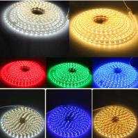 China 5050 Waterproof LED Strip Light 220V 60 LEDs/M 14.4W/M Flexible Indoor Outdoor Lighting for sale