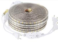 China 5050 Waterproof LED Strip Light 220V 60 LEDs/M 14.4W/M Flexible Indoor Outdoor Lighting for sale