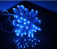 China Miracle Bean 9mm 12V LED Pixel Light for Advertising Letter Signs for sale