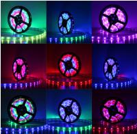 China IP68 Waterproof LED Nylon Light 10W/M RGB Color Indoor Outdoor Decoration 12V 24V for sale