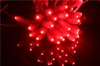 China Miracle Bean EPISTAR IP67 12V 0.15W 9mm Led Pixel String Lights for sale