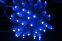 China Miracle Bean EPISTAR IP67 12V 0.15W 9mm Led Pixel String Lights for sale